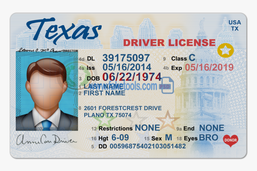 What Dream About License Means