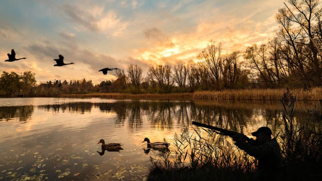 What Dream About Hunting Means