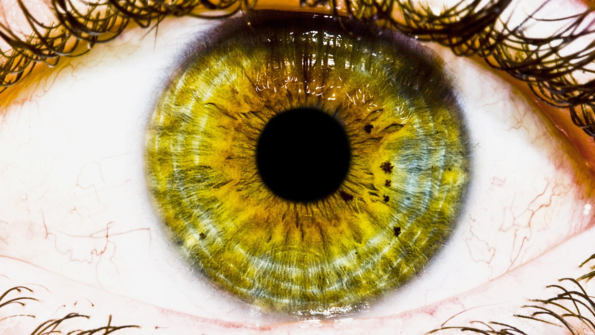What Dream About Yellow Eyes Means