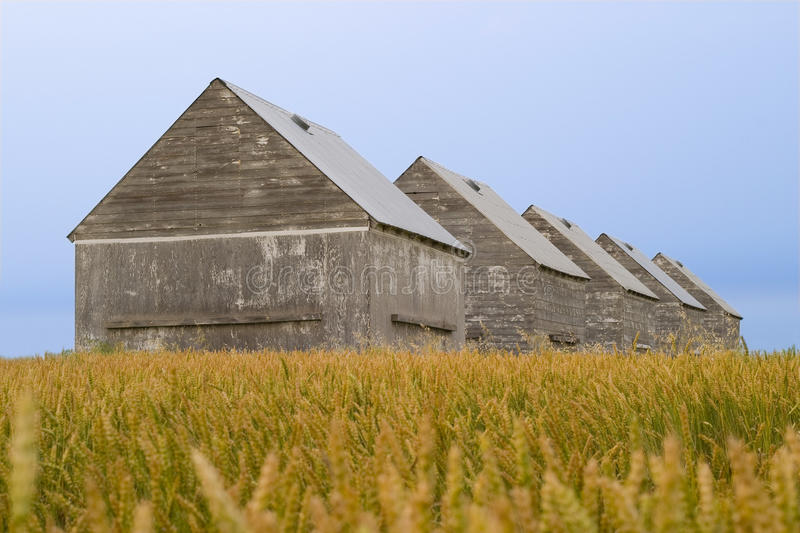 What Dream About Barn Means