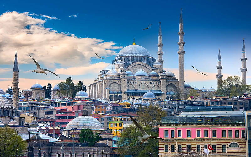 What Dream About Turkey (country) Means