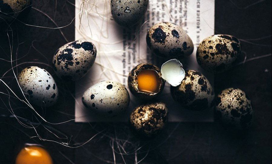 What Dream About Quail Eggs Means