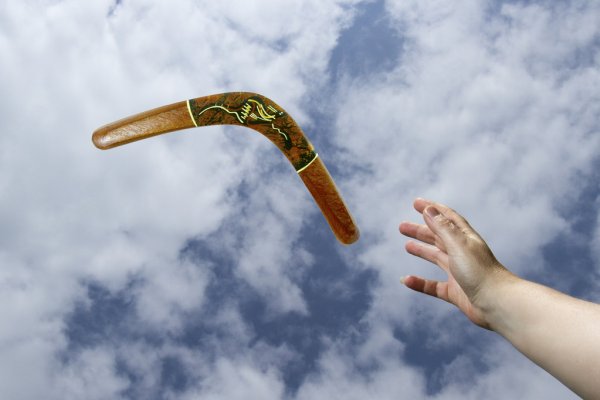 What Dream About Boomerang Means